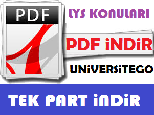 tek-lys-pdf - ÜniversiteGO