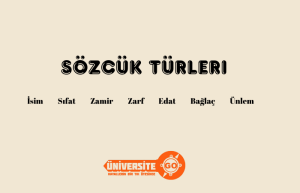 Sözcük Türleri Nelerdir? Sözcük Türleri - ÜniversiteGO