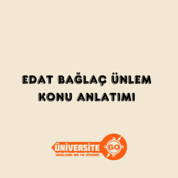 Zarflar Konu Anlatımı - ÜniversiteGO